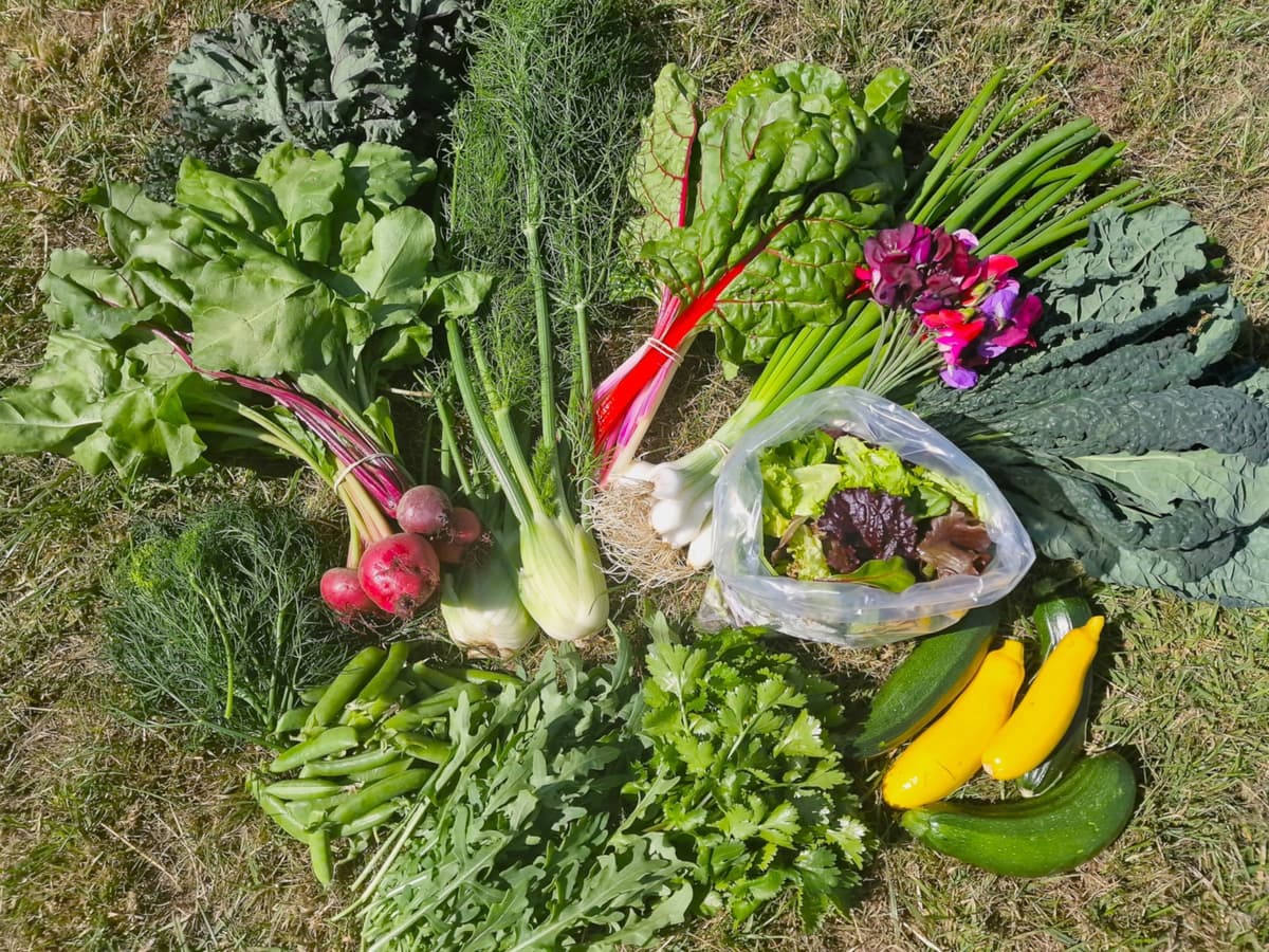 Shop local food | Wern Farm - Powys